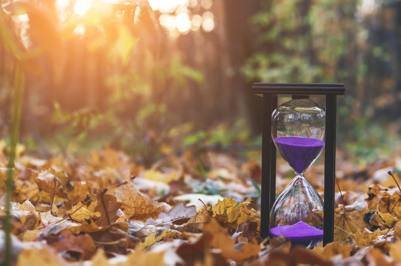 Late-fall days, report card grades, and looming winter ways – School ...