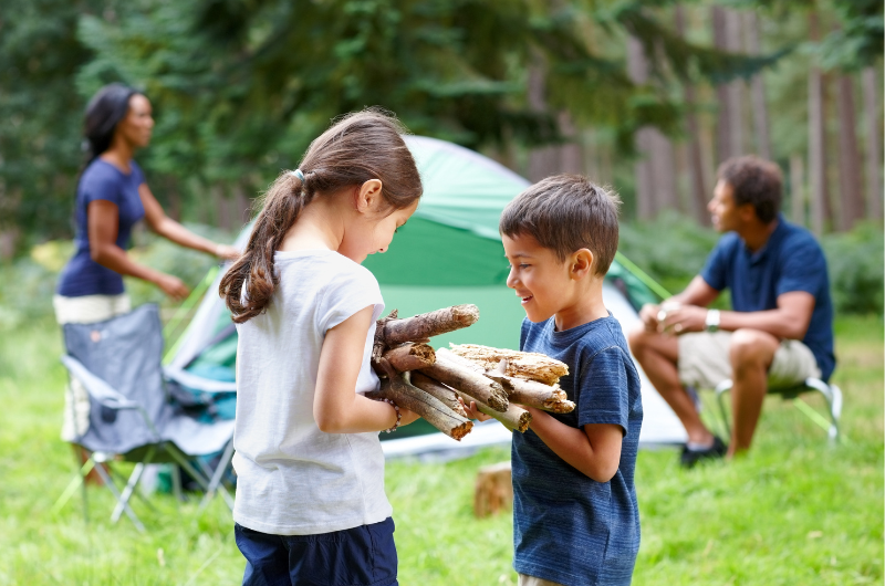 Summer Activities: Camping & Berries – School Zone Publishing Company