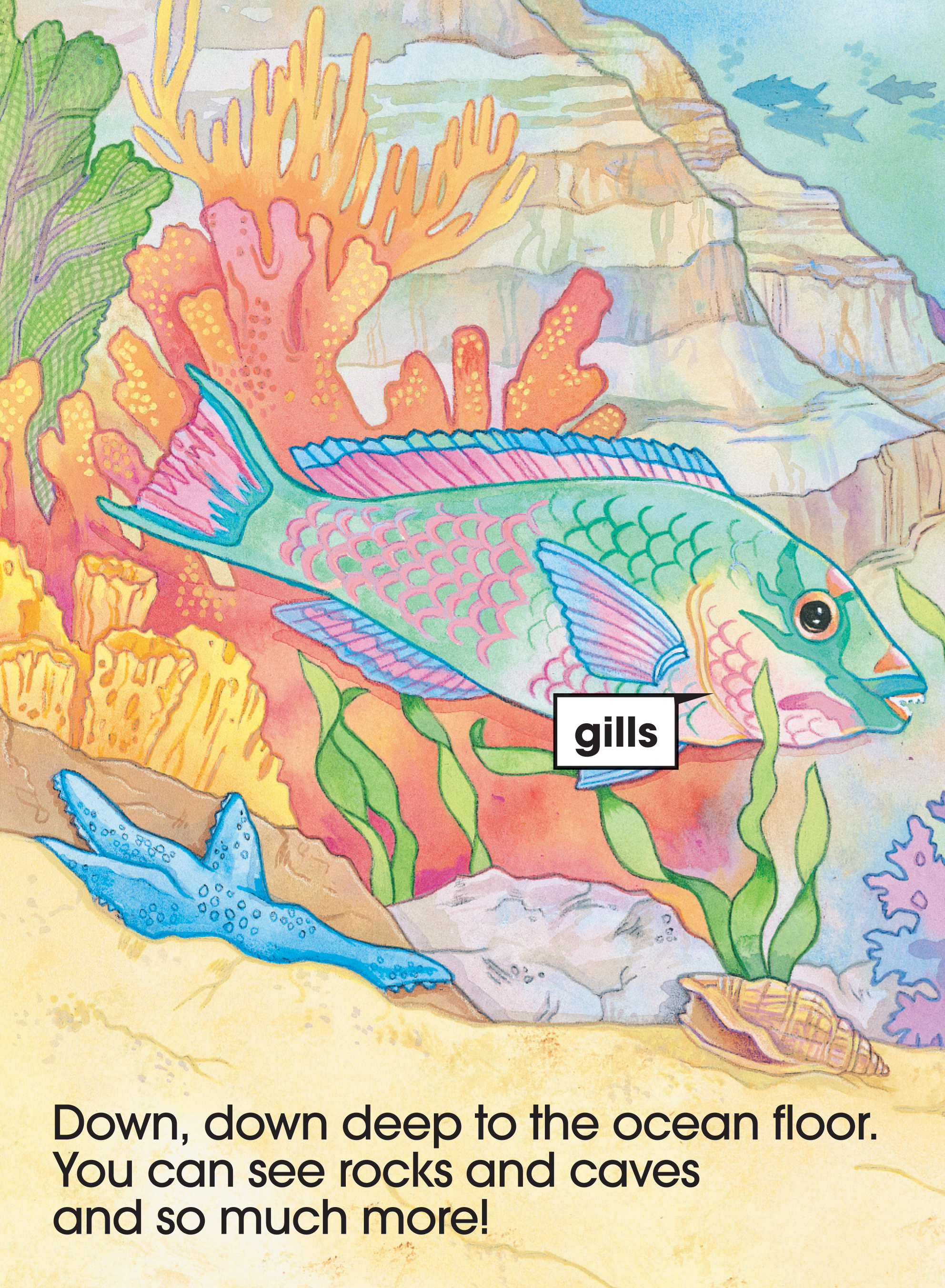 Start to Read Books Level 1: Underwater – School Zone Publishing Company