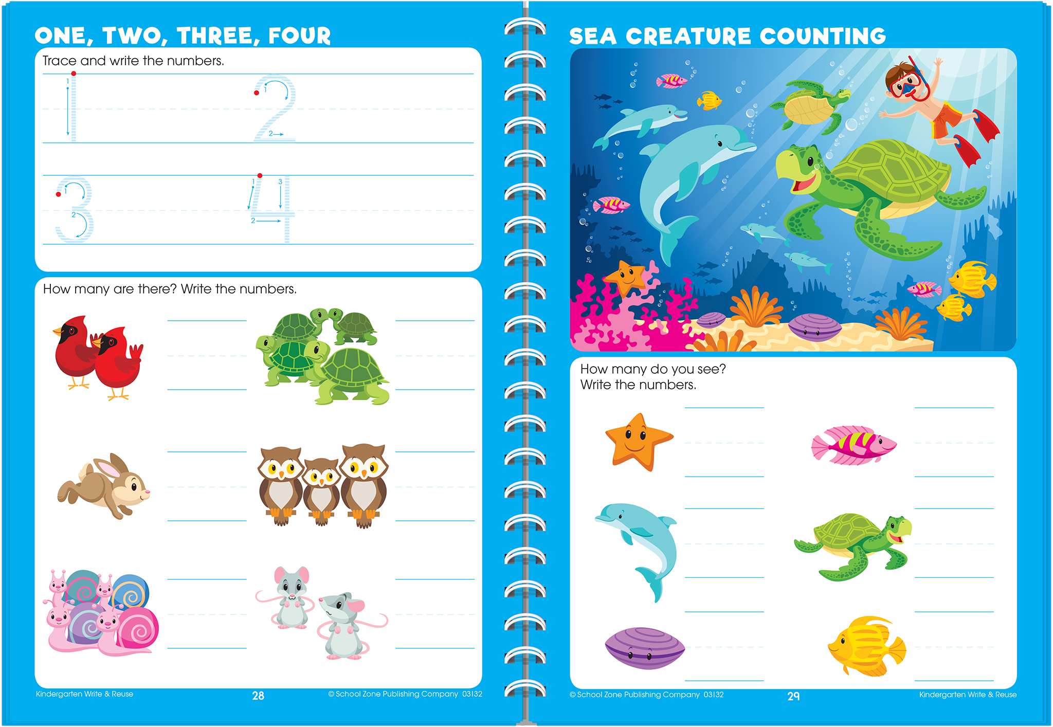 Kindergarten Write & Reuse Workbook – School Zone Publishing Company