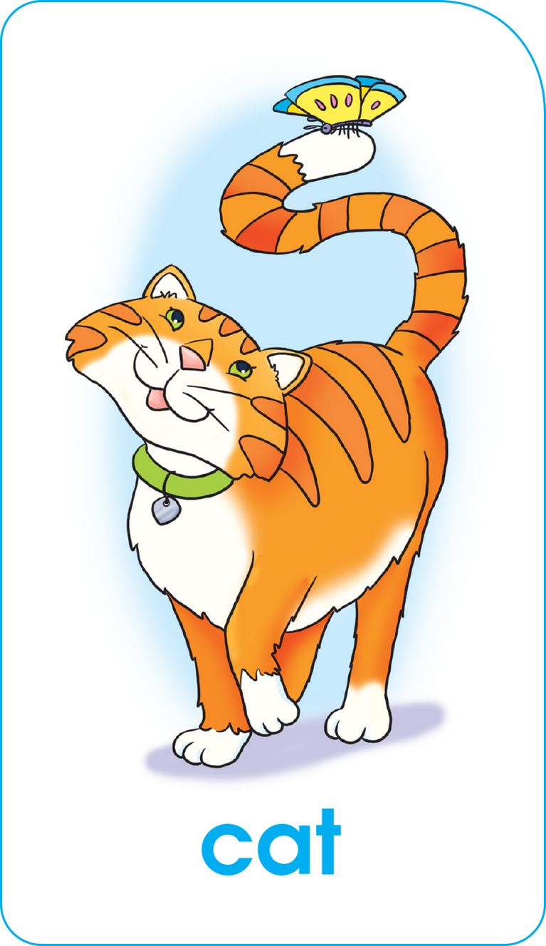 Word Families Flash Cards – School Zone Publishing Company