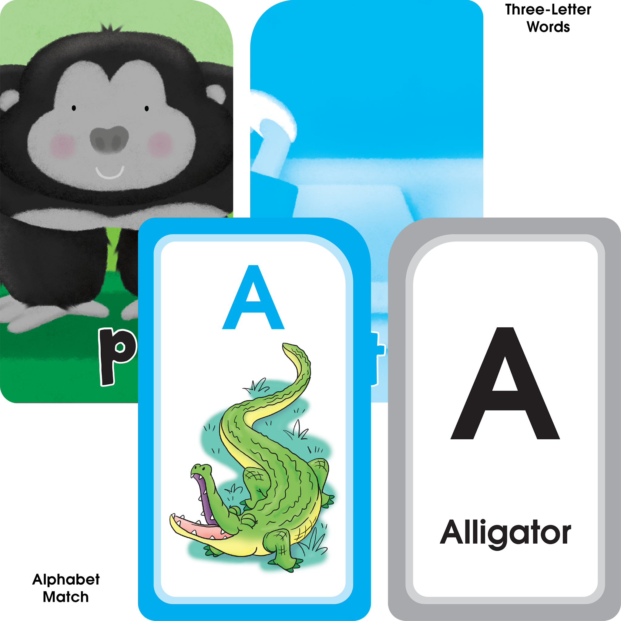 ABC Letters and Sounds Flashcards – School Zone Publishing Company