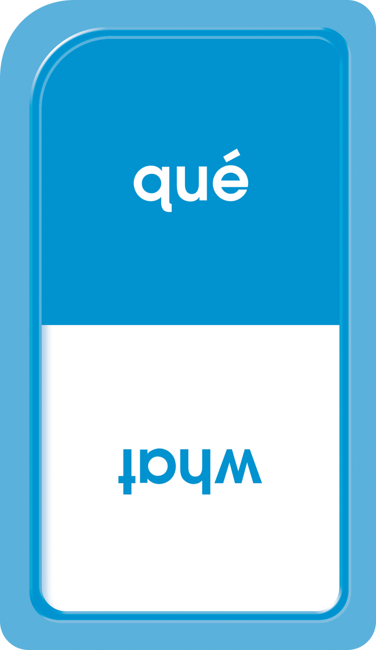 Bilingual Basic Sight Words Flash Cards (Palabras Basicas Tarjetas Ilu ...