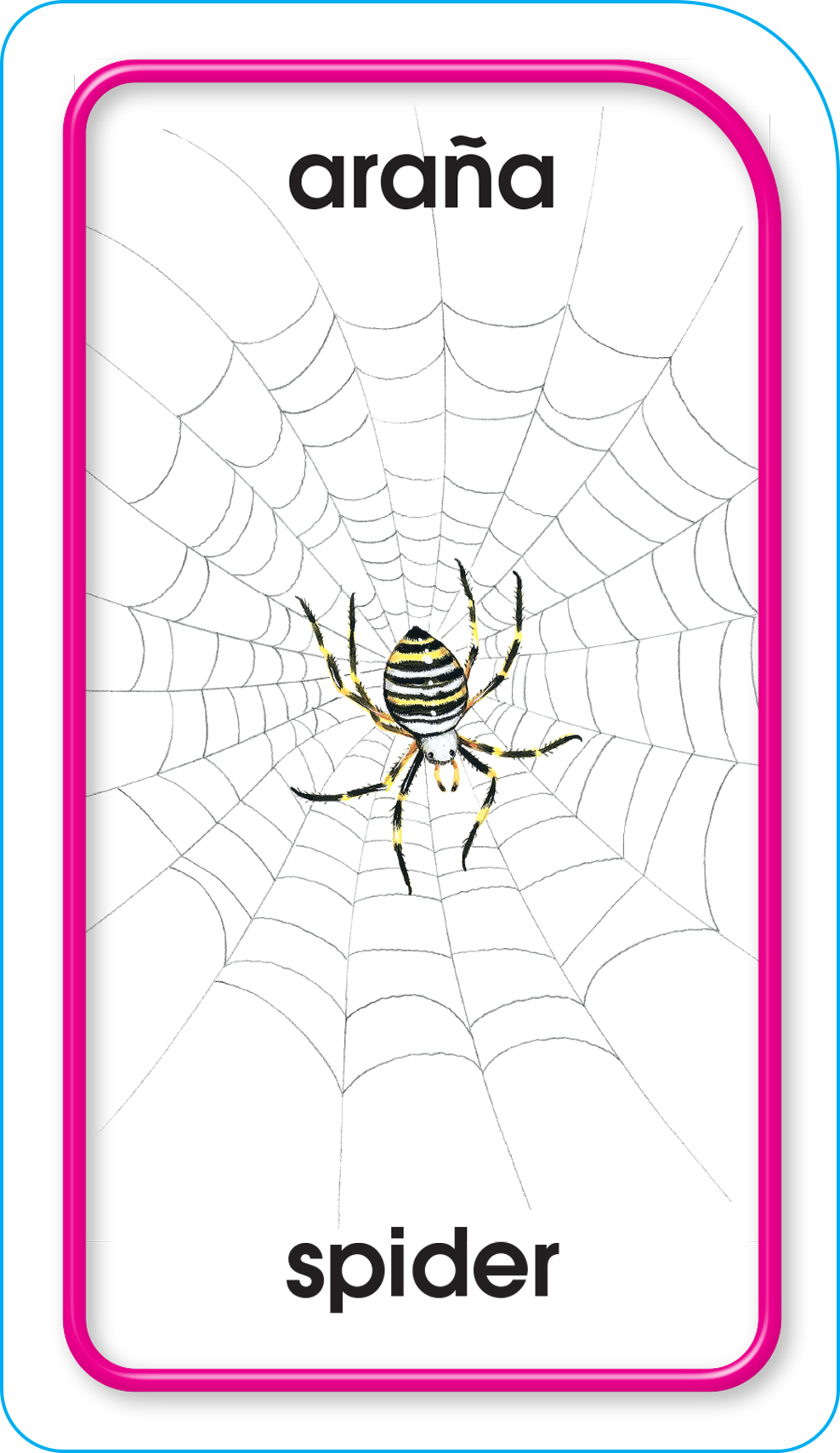 Learning Flash Cards for Kids – School Zone Publishing Company