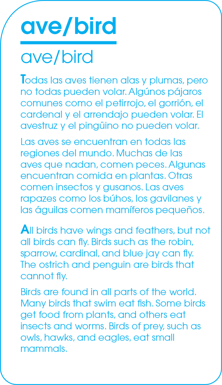 Bilingual Animals of All Kinds Flash Cards (Animales de Todo Tipo Tarj ...