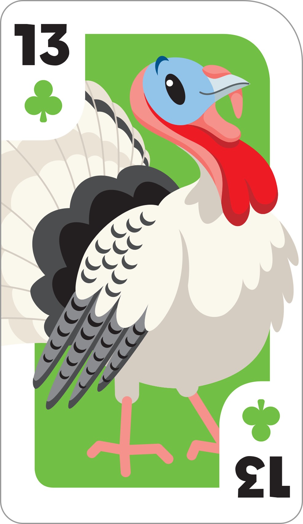 Animal Rummy Card Game – School Zone Publishing Company