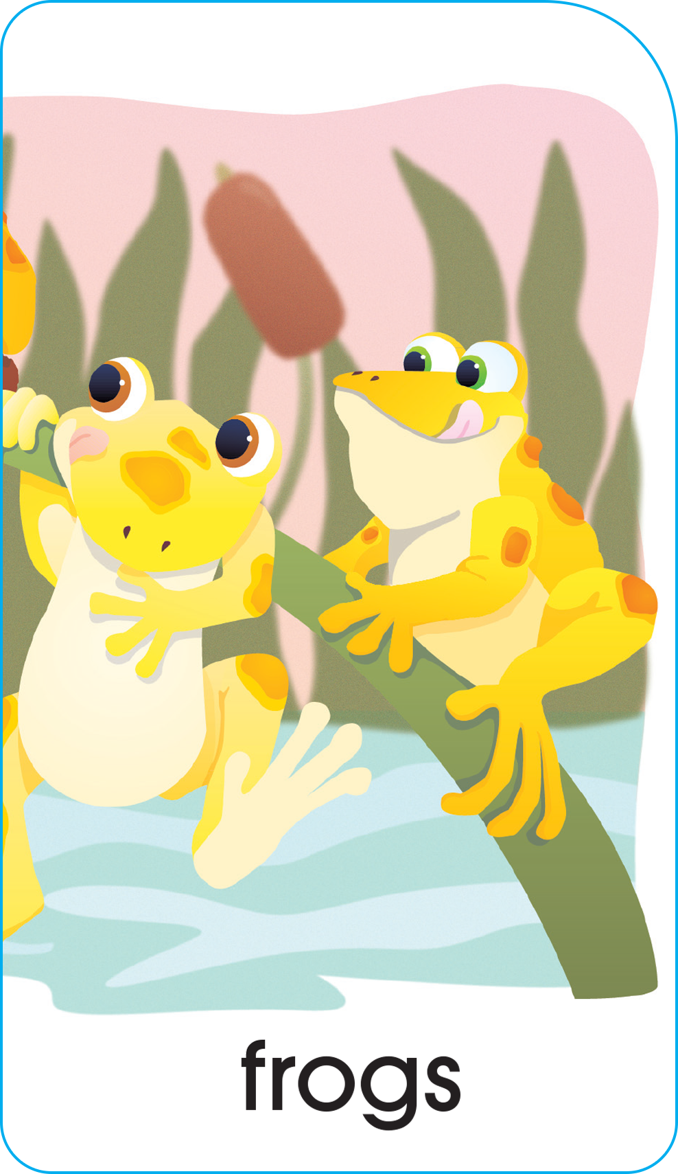Numbers, Colors & Shapes Puzzle Cards – School Zone Publishing Company